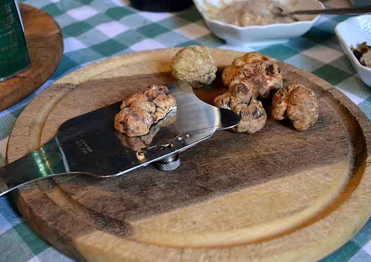 Truffle Hunting and Cooking Class in Tuscany